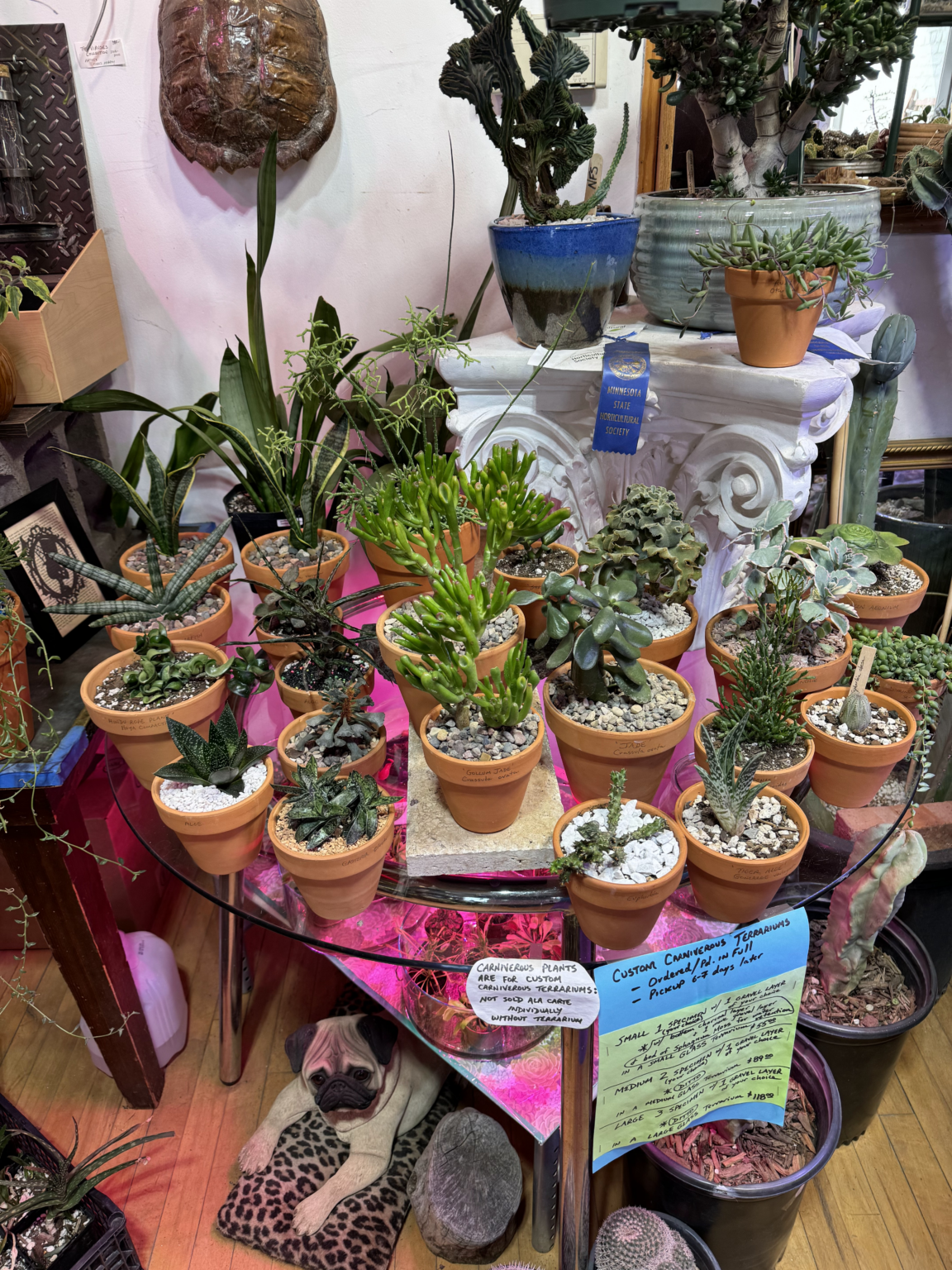 Fractal Cactus